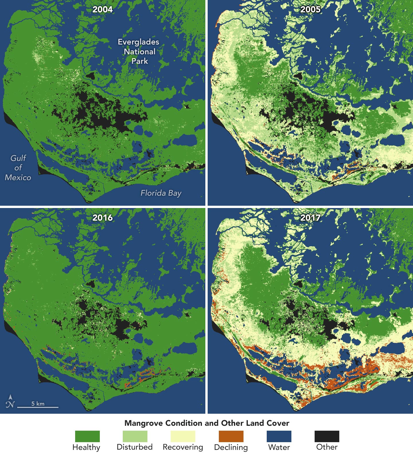Badai Mengubah Hutan Bakau Menjadi Hutan Hantu | Ensiklopedia Telkom ...