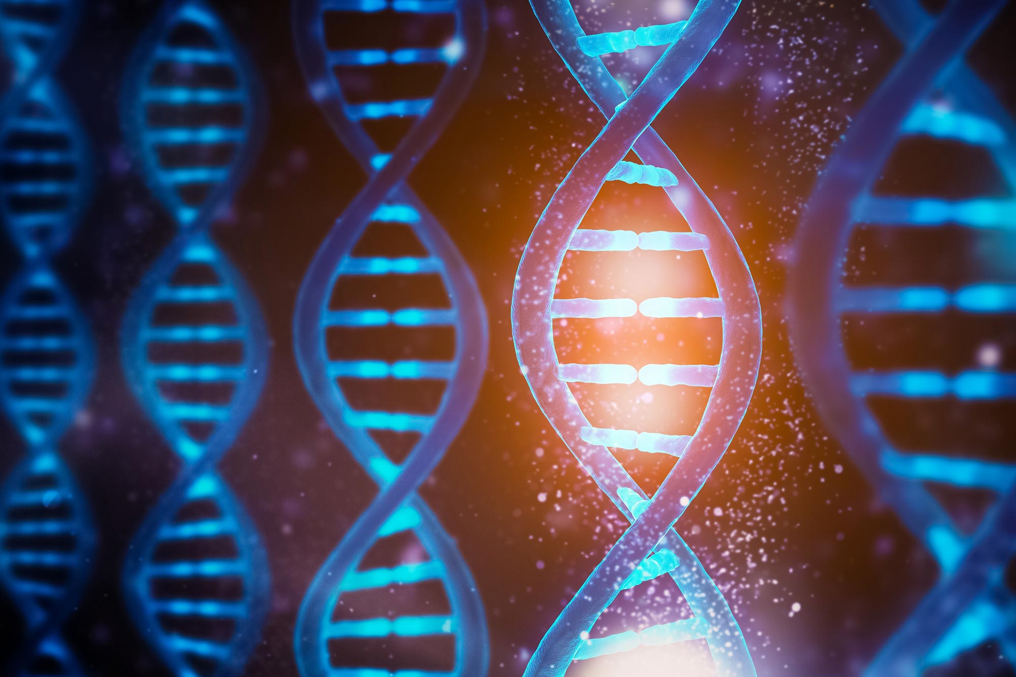 Penemuan DNA yang inovatif menambahkan bab baru untuk sejarah Indonesia ...