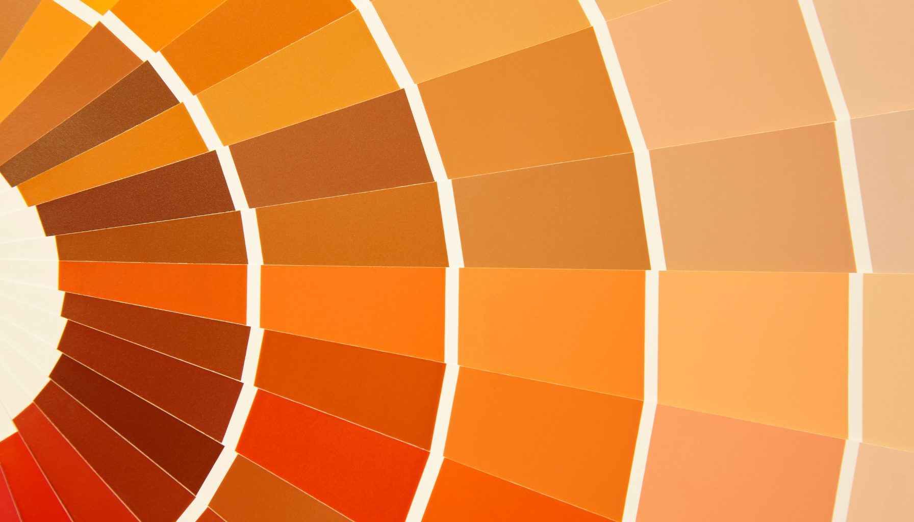 Warna Jingga: Keunikan, Makna, dan Pengaruhnya dalam Kehidupan